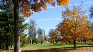 Exploring the Wonderful Ways to See Denver’s Fall Colors - Beau Monde ...