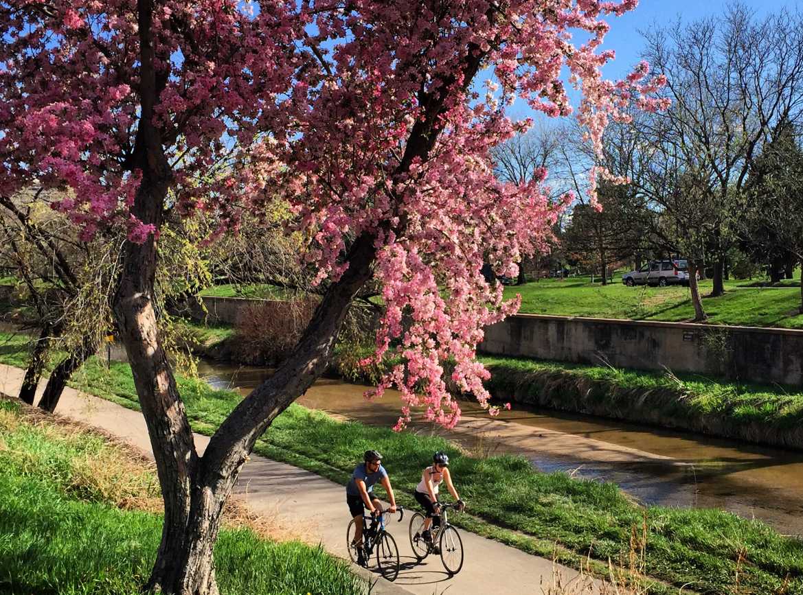 Exploring the Wonderful Ways to See Denver’s Fall Colors - Beau Monde ...