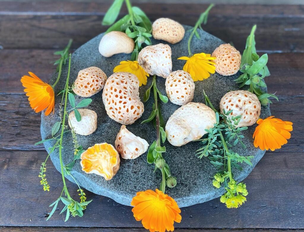 BORAGÓ: A Chilean Reimagination of Latin American Fine Dining - Beau ...