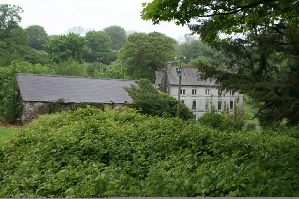 Grove of Narberth: Wales’s Luxury Countryside Oasis - Beau Monde ...