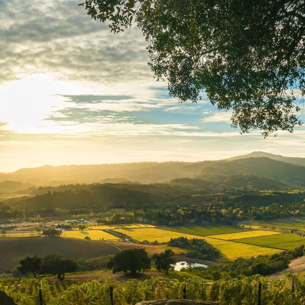 The French Laundry : A Coveted Culinary Landmark - Beau Monde Traveler ...