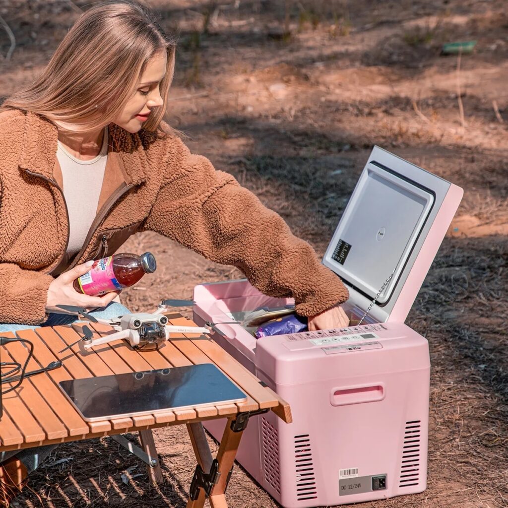 Portable Perfection: The Essential Guide to Choosing a 12V Fridge for ...